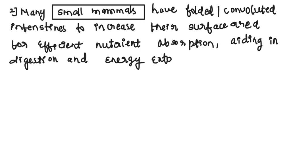 SOLVED: Give 2 examples of how animals maximize their surface area to ...
