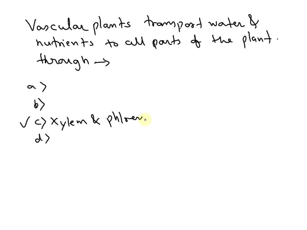SOLVED: Vascular plants transport water and nutrients to all parts of ...