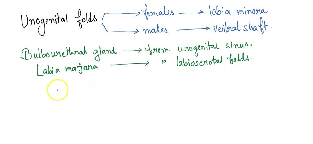 SOLVED: Which of the following is FALSE? Select one: a. The clitoral ...