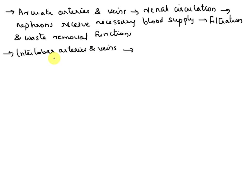 SOLVED: Which birthmark would be classified as vascular? Café-au-lait ...