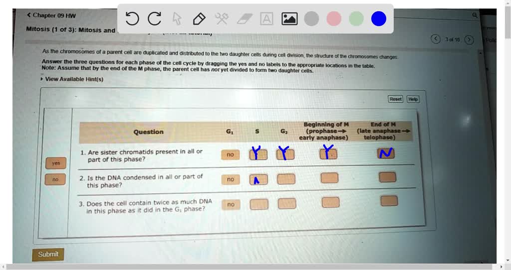 SOLVED: Take Quiz Which is NOT a phase of the eukaryotic cell cycle ...