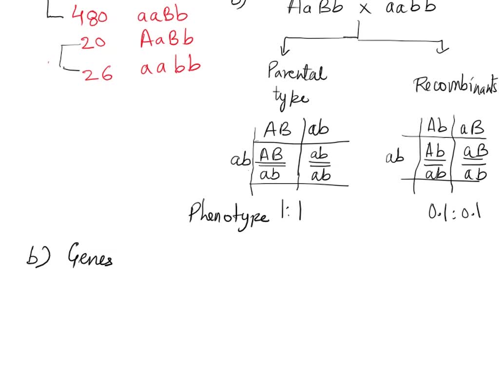 SOLVED: a.Which phenotype combinations represent non-recombinant ...