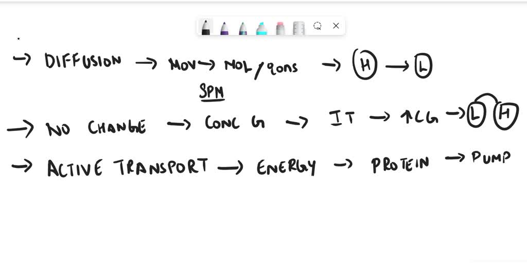 SOLVED: Compare and Contrast (how are they the same and how are they ...