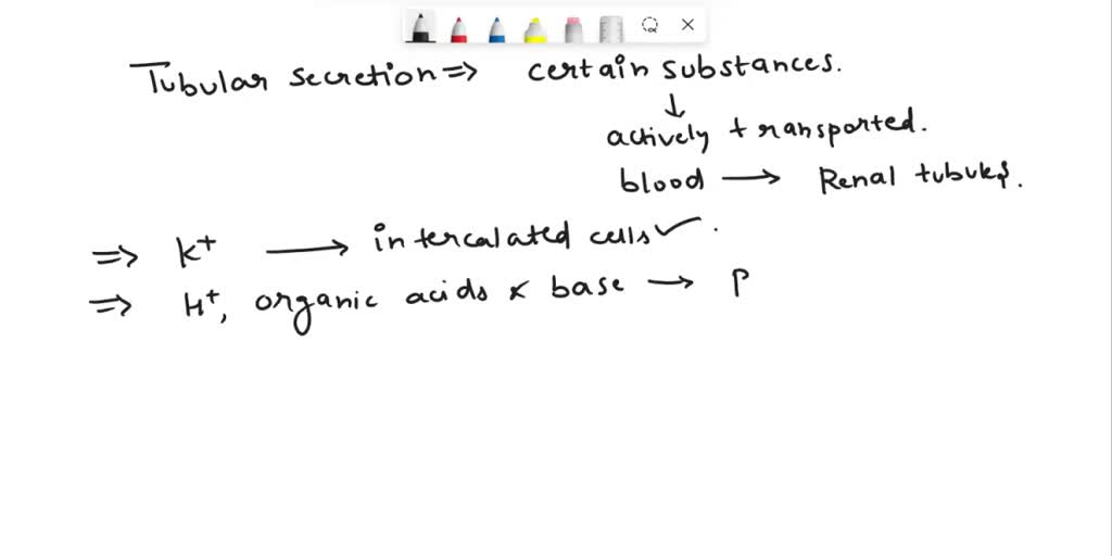SOLVED: Question 13 Which statement(s) correctly describe(s) renal ...