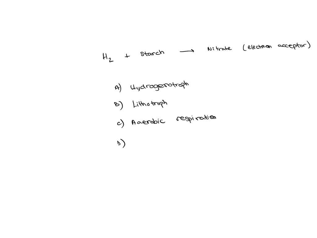 SOLVED: A bacterial species that can grow when supplied an energy ...
