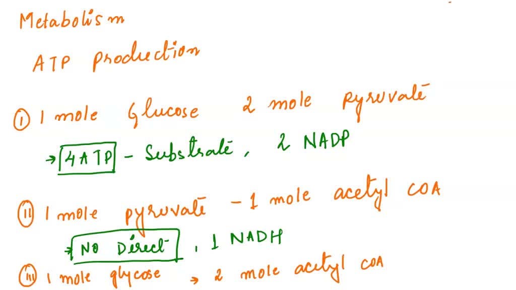 SOLVED: What is the production of ATP both directly and through ...