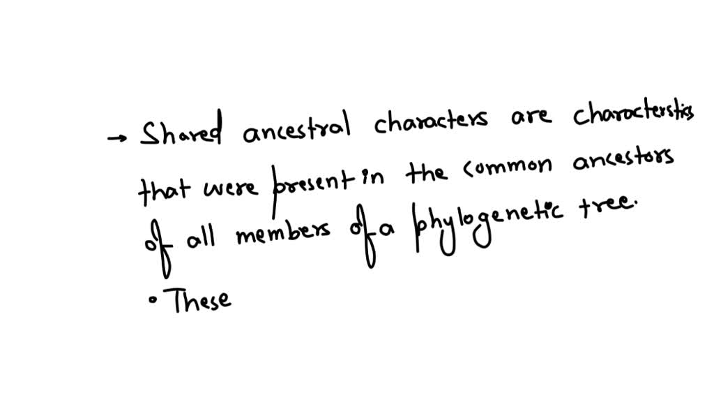 SOLVED: The Infrastructure and Domain Naming Master are forest-wide ...