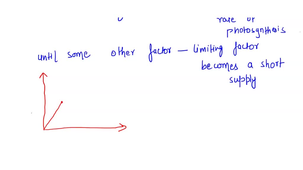 SOLVED: Experiment 1: Measuring the Rate of Photosynthesis. What can ... SOLVED: Experiment 1: Measuring the Rate of Photosynthesis. What can ...