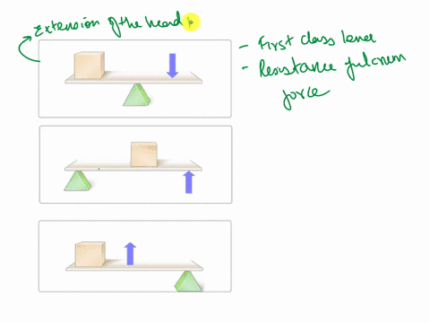 Each label describes one of the three classes of levers....