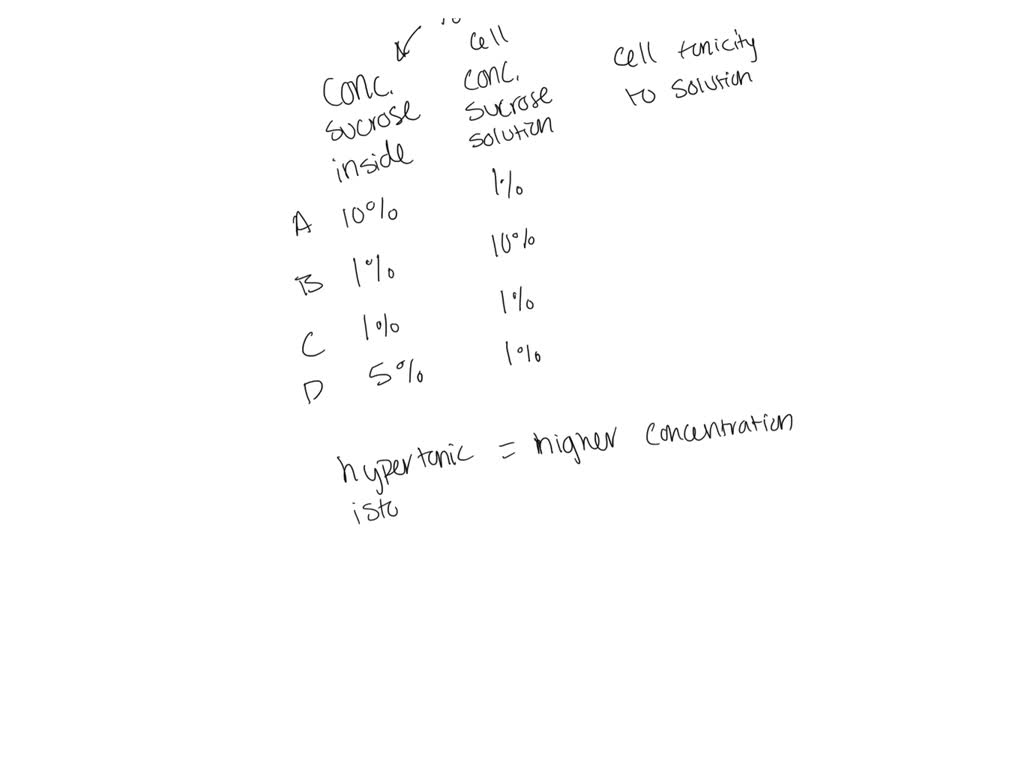 SOLVED: As an illustration; the figure below shows 4 model cells ...