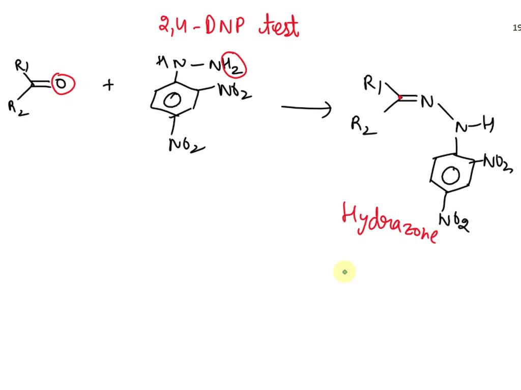 SOLVED: During an experiment, a student collected a sample of 2 ...
