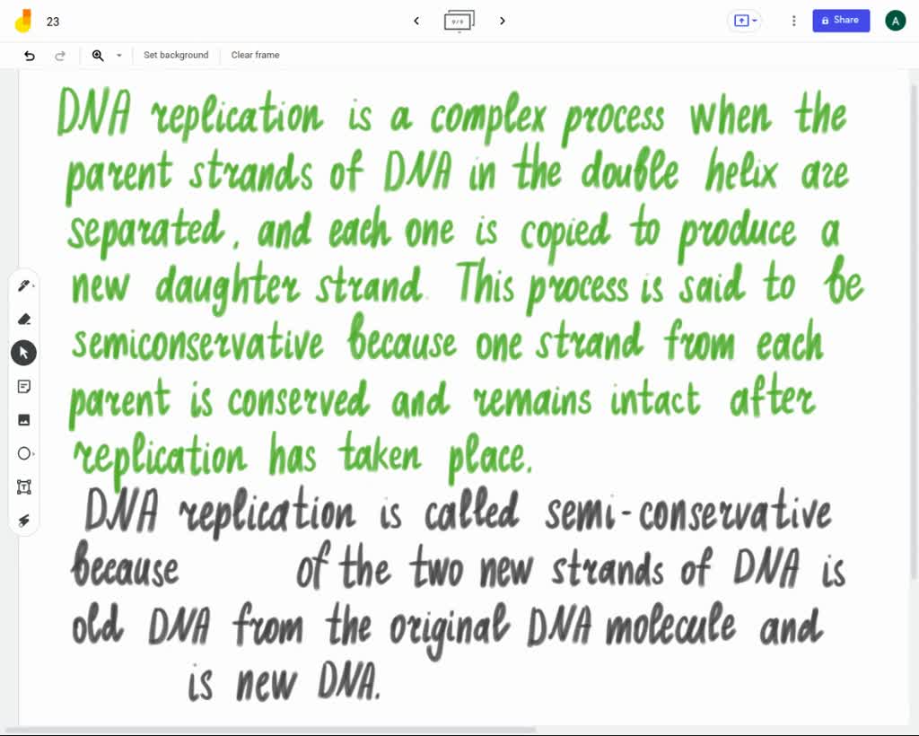 SOLVED: '22 DNA replication is described as semi-conservative because ...
