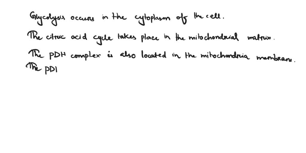 Solved Where In The Cell Does Glycolysis Occur The Citric Acid Cycle Where Is The Pdh Complex