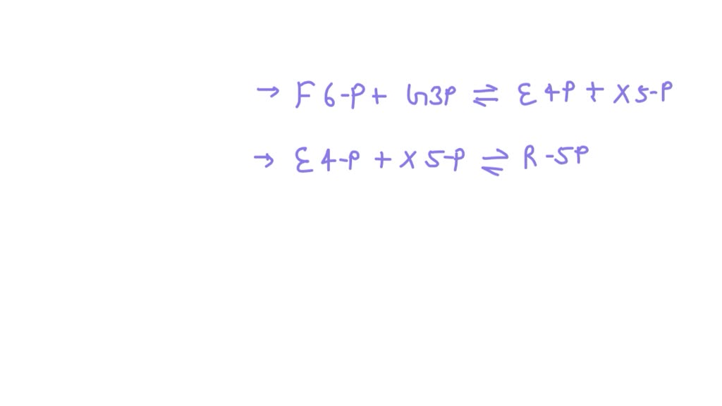 SOLVED: Draw a balanced pathway to show how the labeled 14C carbon and ...