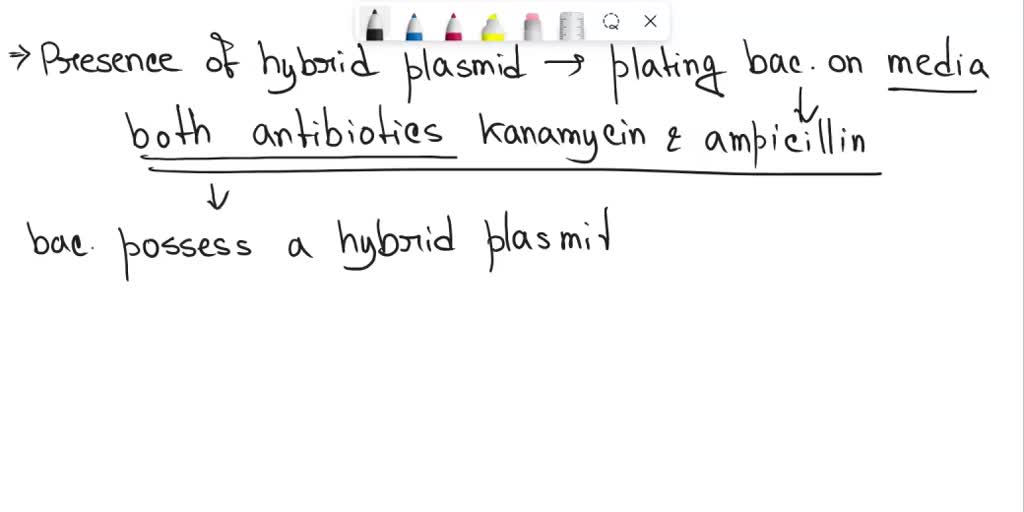 SOLVED: Assume that rfp and its promoter pBAD were cloned from the pKAN ...