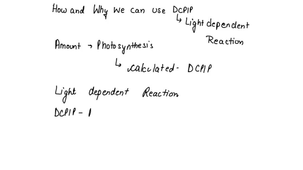 SOLVED: Explain in detail how and why we can use DCPIP to study the ...