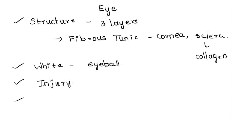 SOLVED: A structure that is located at the medial angle of the eye and ...