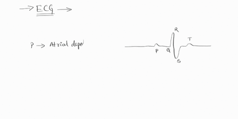 The qrs complex represents atrial repolarization atrial...