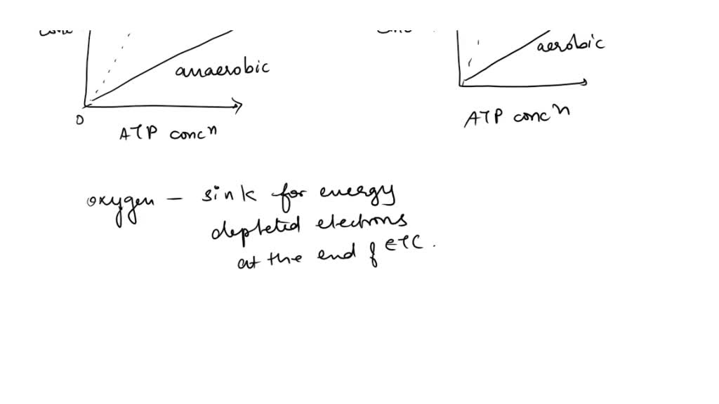 SOLVED: AMP (and cAMP) as "Hunger Signals" TABLE 15-4 Relative Changes ...