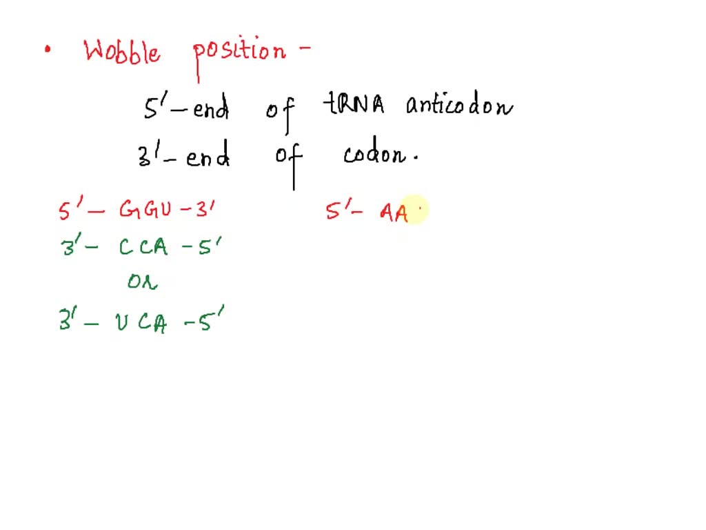 A Series Of Trnas Have The Anticodons 5 Ggu 3 5 Aag 3 5