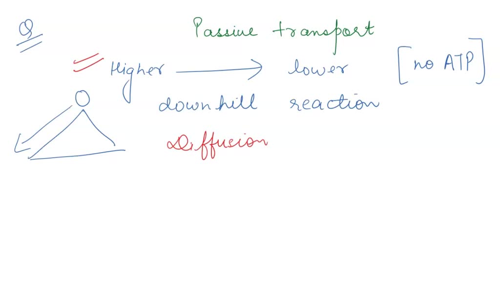 SOLVED: Name two ways cells are able to move molecules against their ...