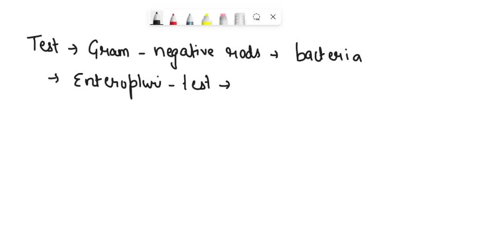 Solved In The Reverse Algorithm Why Is The Tp Pa Assay Used To Confirm Positive Syphilis 4038