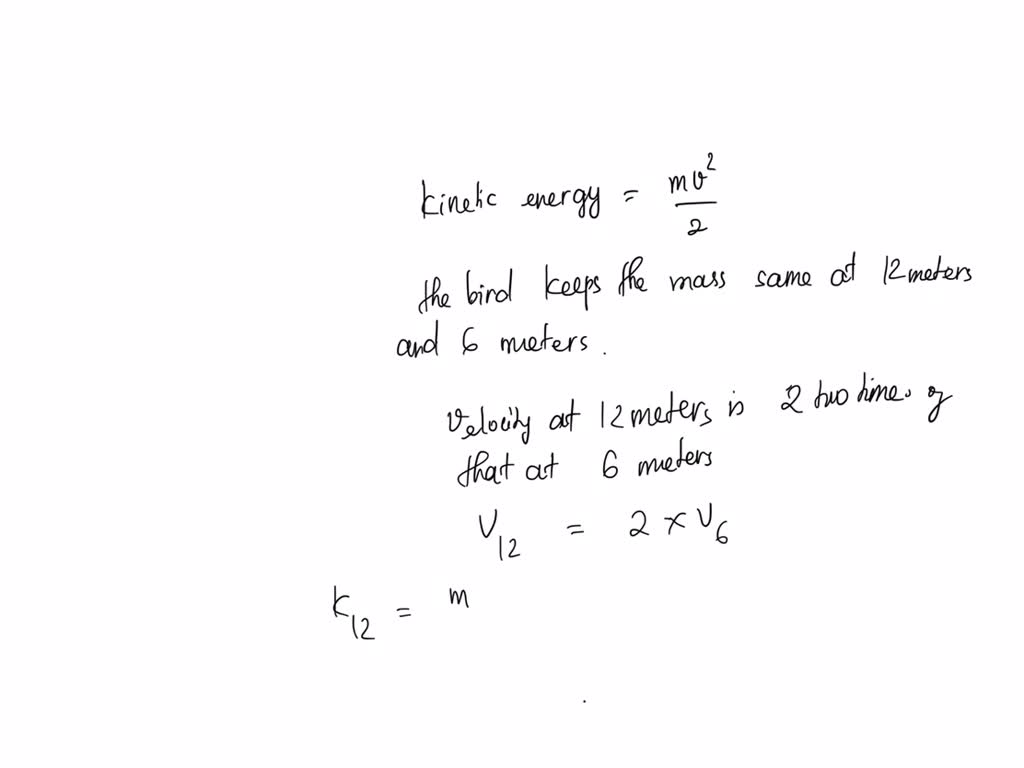SOLVED: A flying bird at a height of 12 meters doubles its speed as it ...