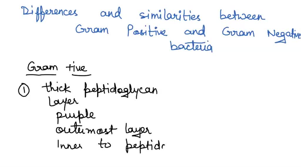 SOLVED: raw a sketch of the layers of a Gram positive and a Gram ...