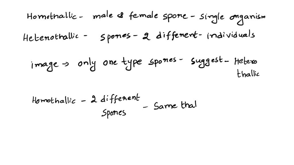 SOLVED: What generation is exhibited here and is it homothallic or ...
