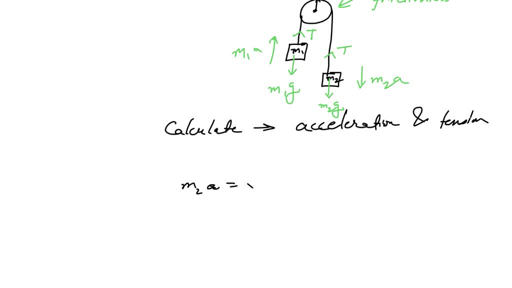 VIDEO solution: Delayed Non-matching-to-sample task: Why was this ...