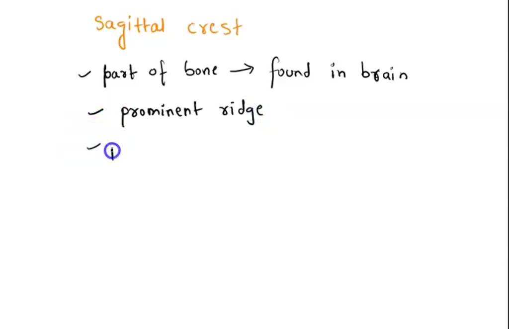 SOLVED: A sagittal crest is a ridge that runs along the primate spine ...