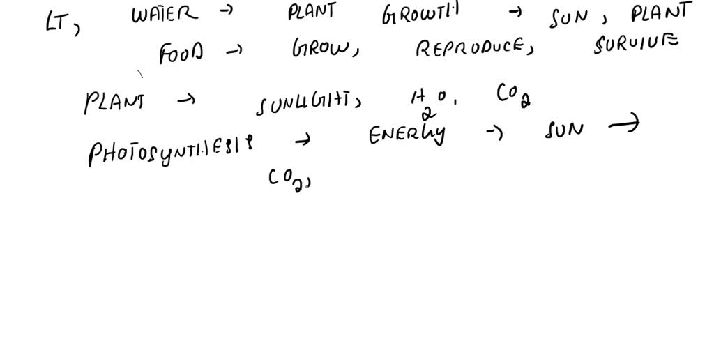 SOLVED: A student designed an experiment to test the effects of light ...