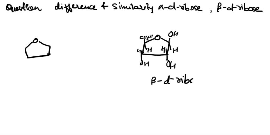 SOLVED: Describe the similarities and differences in the structures of ...