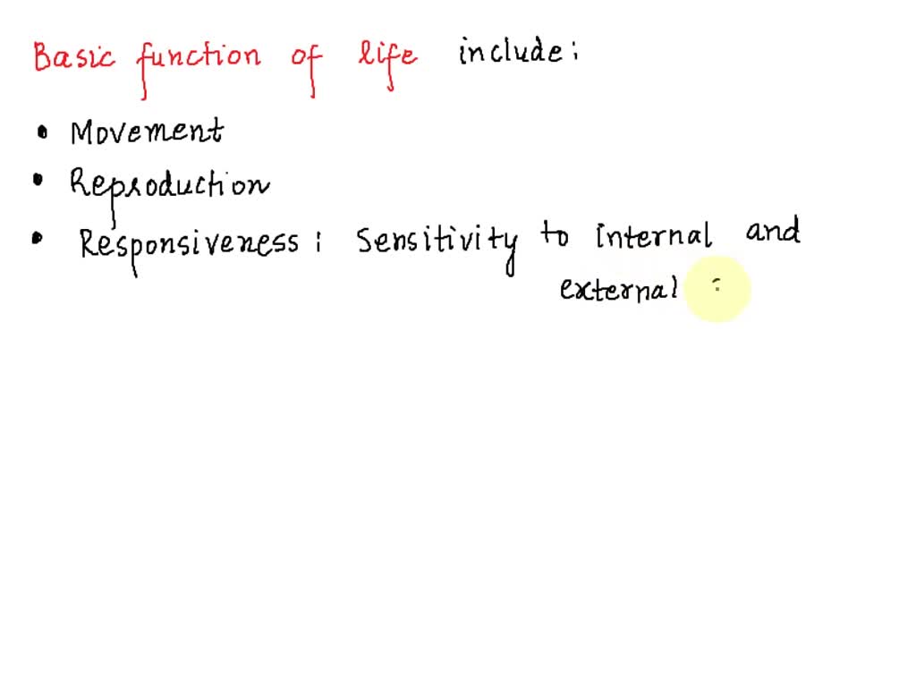 SOLVED: Which basic function of life is exemplified when a single ...