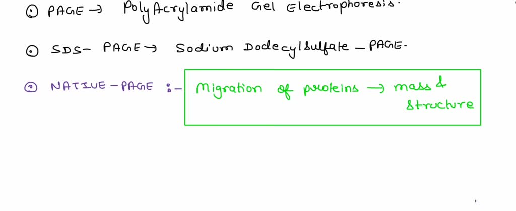 SOLVED: Native PAGE SDS PAGE (non-reducing) protein SDS PAGE reducing ...