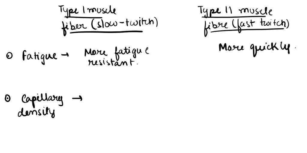 SOLVED: Compare and contrast the anatomical and metabolic ...