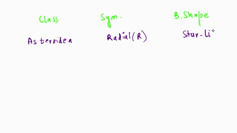 The main features of echinoderms how can echinoderms be...