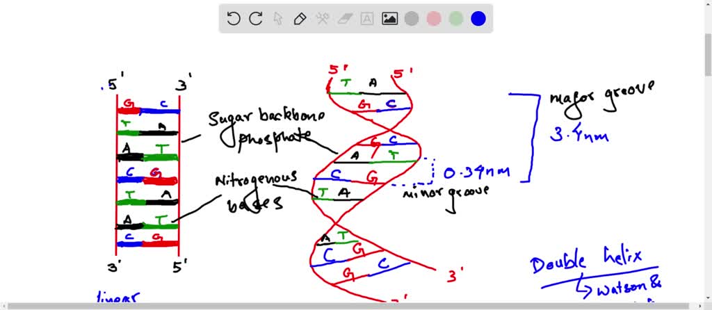 Solved I Need A Picture Of The Visual Paradigm Not Explain Using Class Diagram Please Class 5437