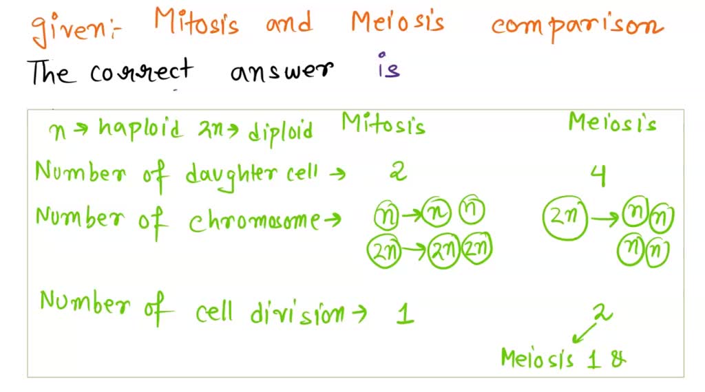 SOLVED: List the differences between mitosis and meiosis in the ...