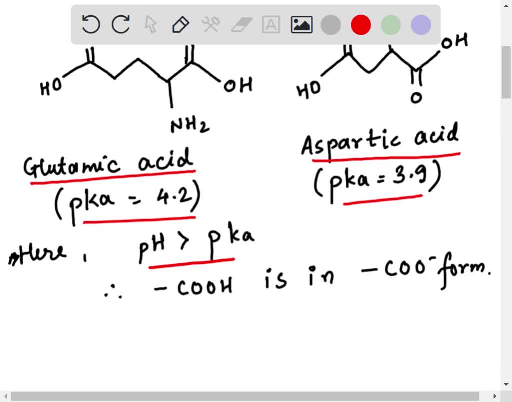 Solved Negatively Charged Aspartic Acid Side Chain And A Positively
