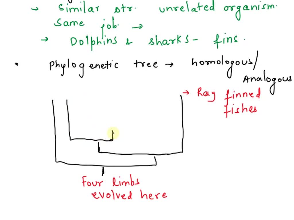 SOLVED: Please help me with the following question: 1. Evolution explains the unity and ...