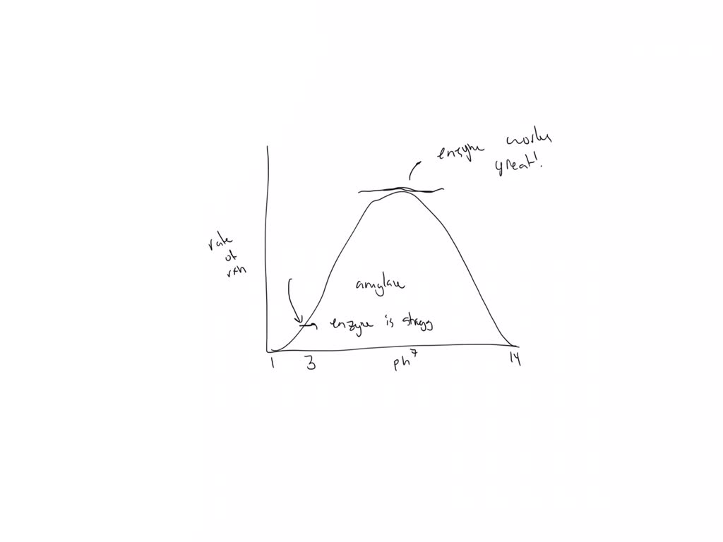 SOLVED: The graph below shows how the activity of an enzyme changes over a range of pH values ...