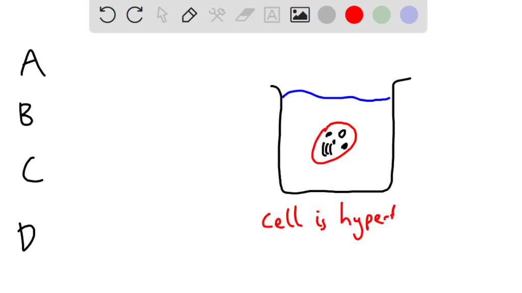 SOLVED: Why does osmosis cause an animal cell to burst when it is ...