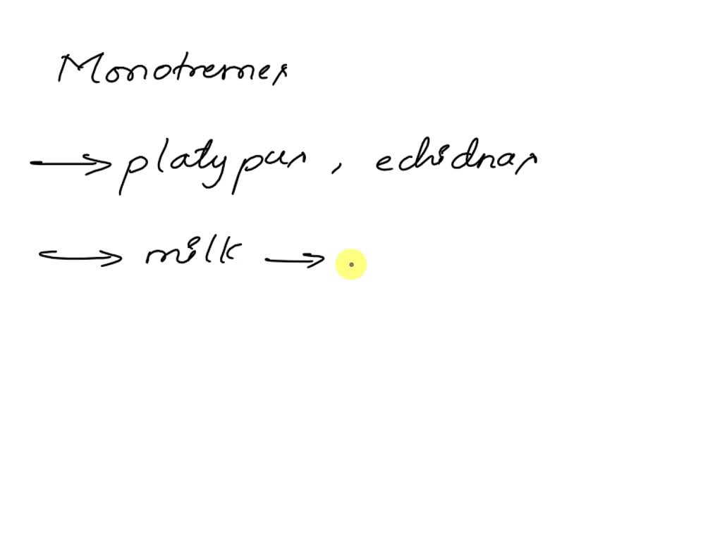 SOLVED: One difference between monotremes and other types of mammals is ...