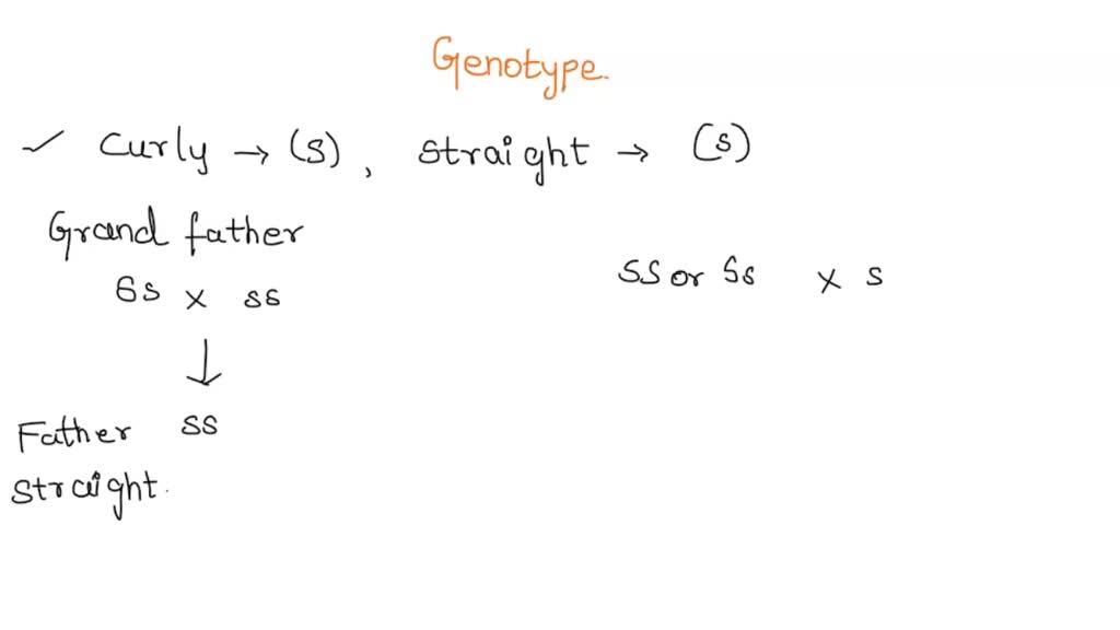 SOLVED: In humans.cudy hair is dominant over straight hair: A straighl ...