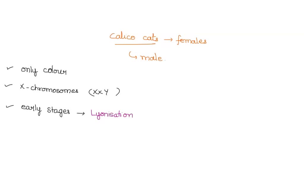 SOLVED: Almost all calico cats are female. Use the terms Lyon ...