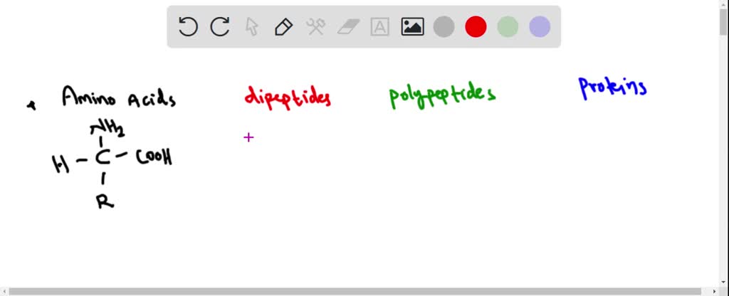 SOLVED: Compare the structures of amino acids, dipeptides, polypeptides ...