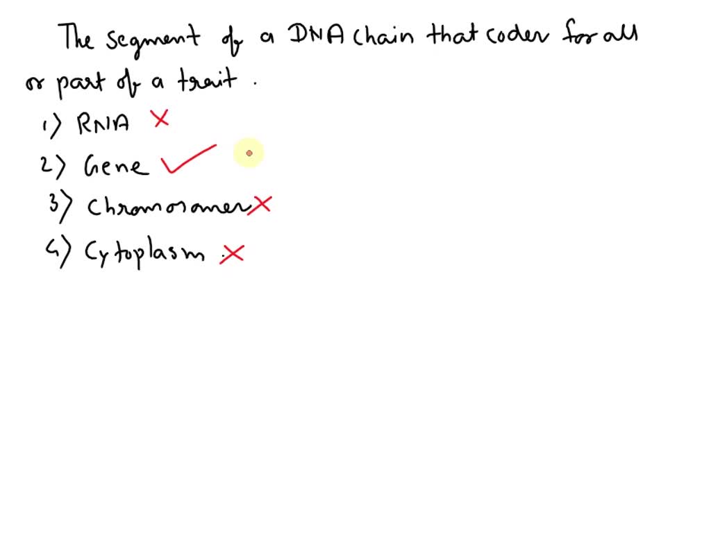 SOLVED: What is the segment of a DNA chain that codes for all or part of a trait? O A. RNA O B ...