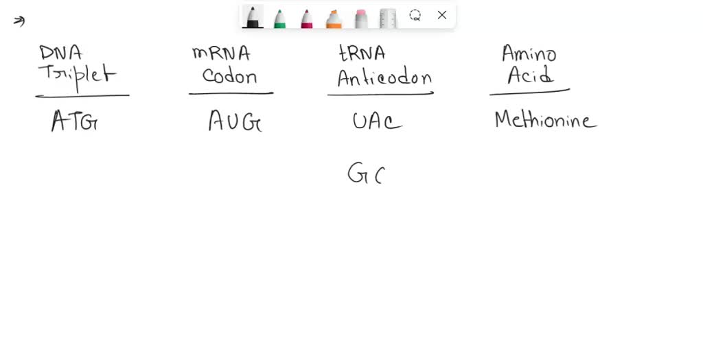 SOLVED: Fill in the chart: DNA Triplet mRNA Codon tRNA Anticodon Amino Acid Methionine GGA TCC UAG