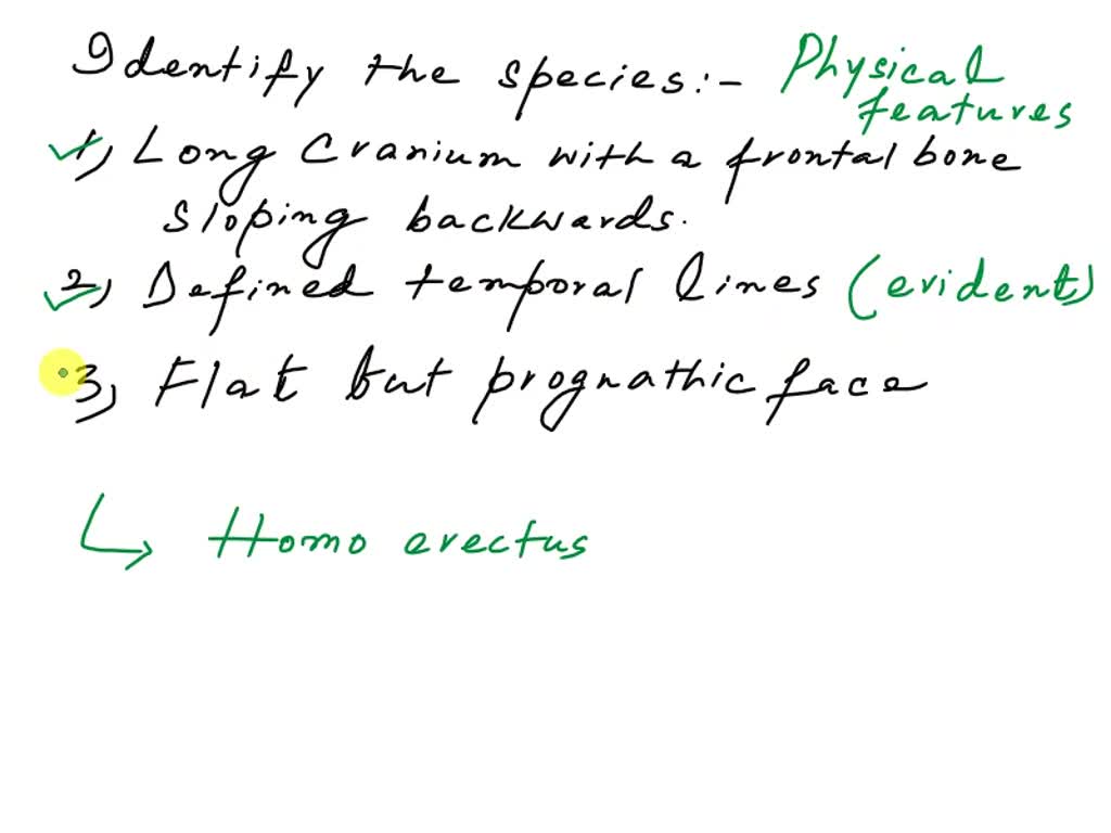 SOLVED: cranial capacity range and locomotion and anatomical traits of ...